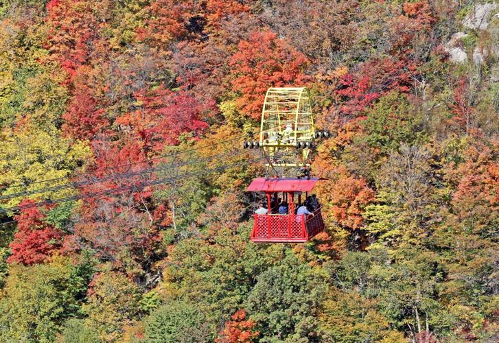 Best places to see fall colours in Niagara