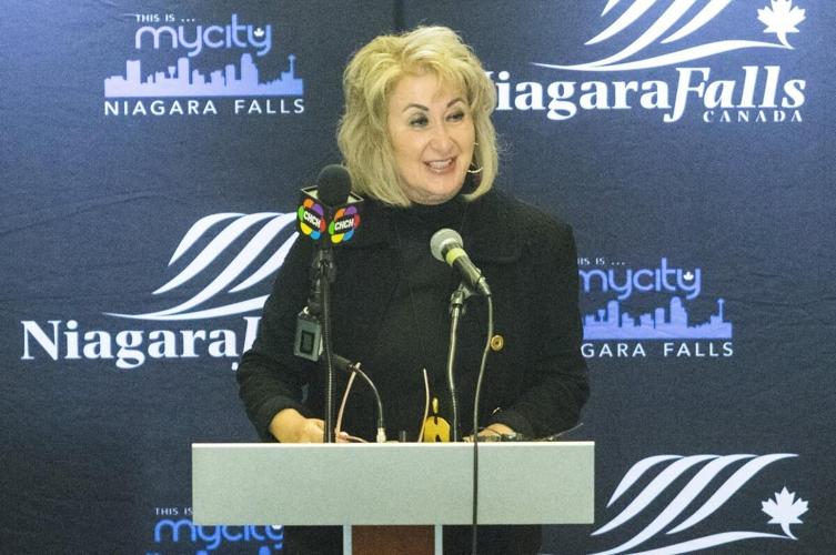 Niagara Falls lands private university