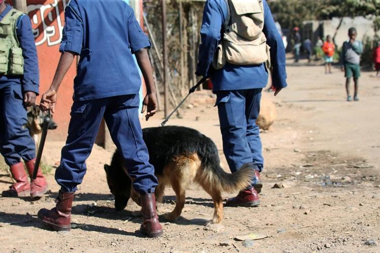 Scores of Zimbabwe protesters arrested, military in streets