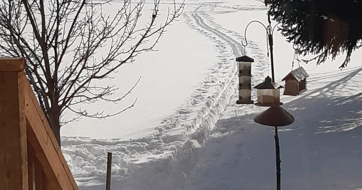 The Great Backyard Bird Count invites backyard bird fanciers to record ...