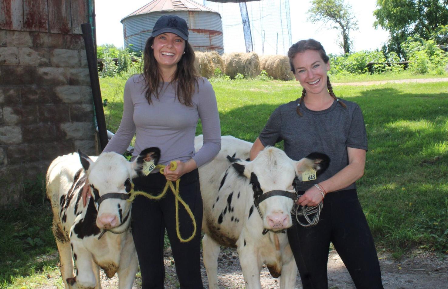 Fort Erie dairy farm provides setting for comedic TV series