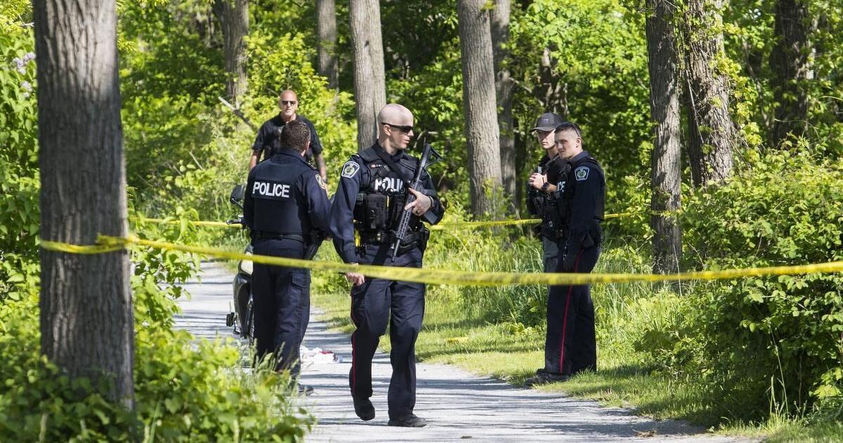 Man who stabbed Niagara stranger not criminally responsible