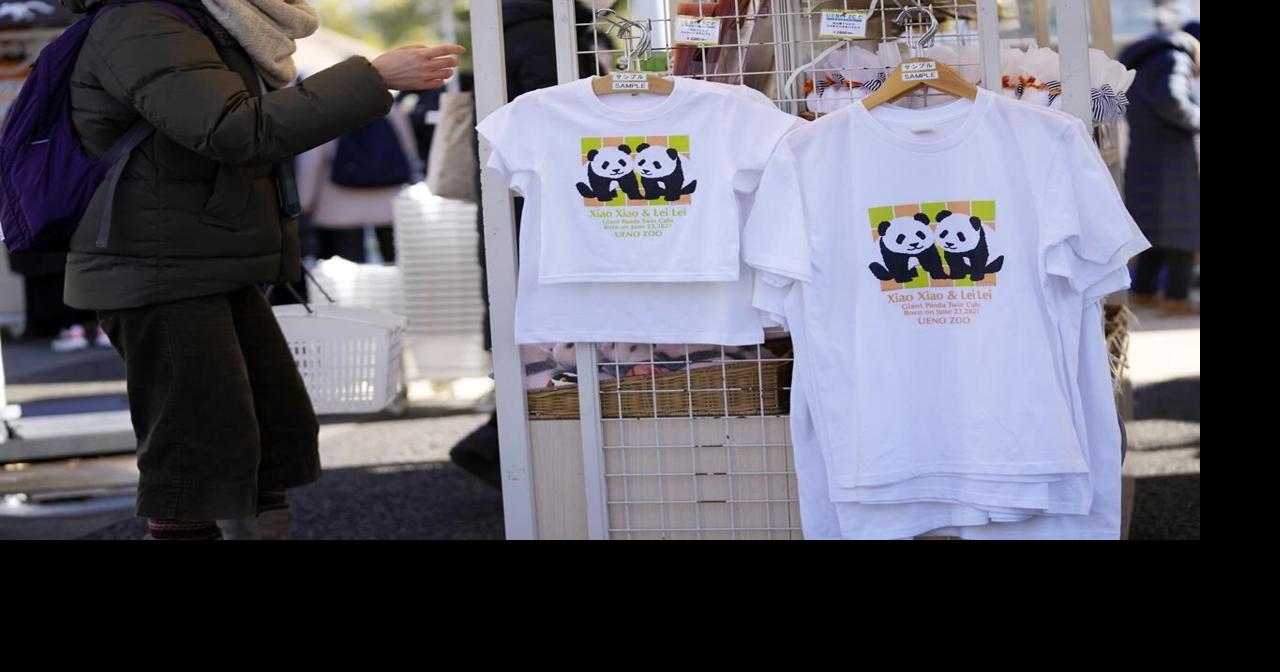 Twin panda cubs debut at Tokyo zoo, woo devoted fans