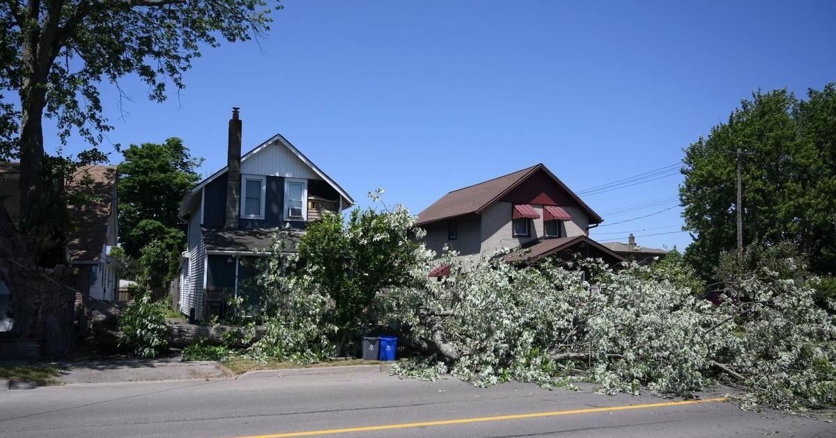 Photos: Port Colborne home struck by tree