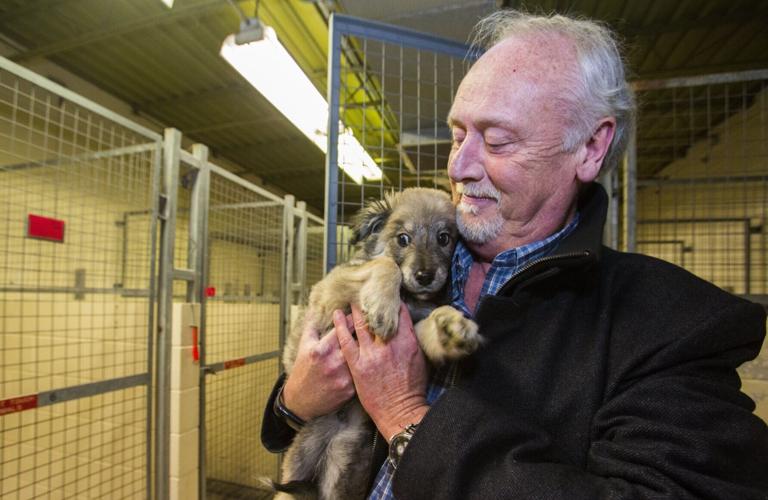 New Niagara SPCA building to include teaching facility
