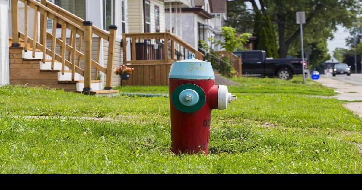 Adopt-a-Hydrant program would allow volunteers to help keep fire hydrants clear year-round
