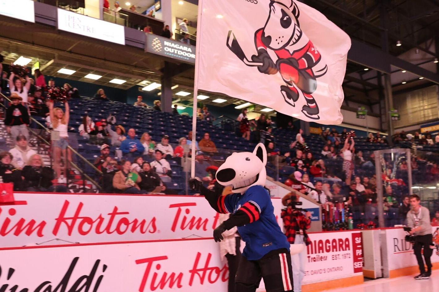 Niagara IceDogs News | The Review
