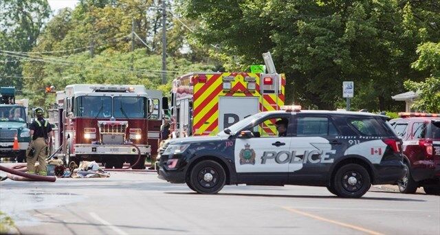 Pythons, turtles survive St. Catharines house fire