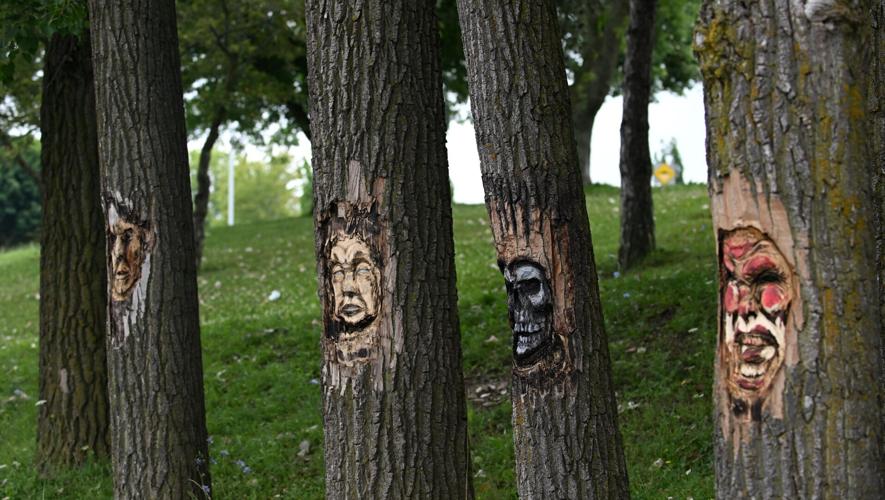 Guilty plea in tree carving case from Welland