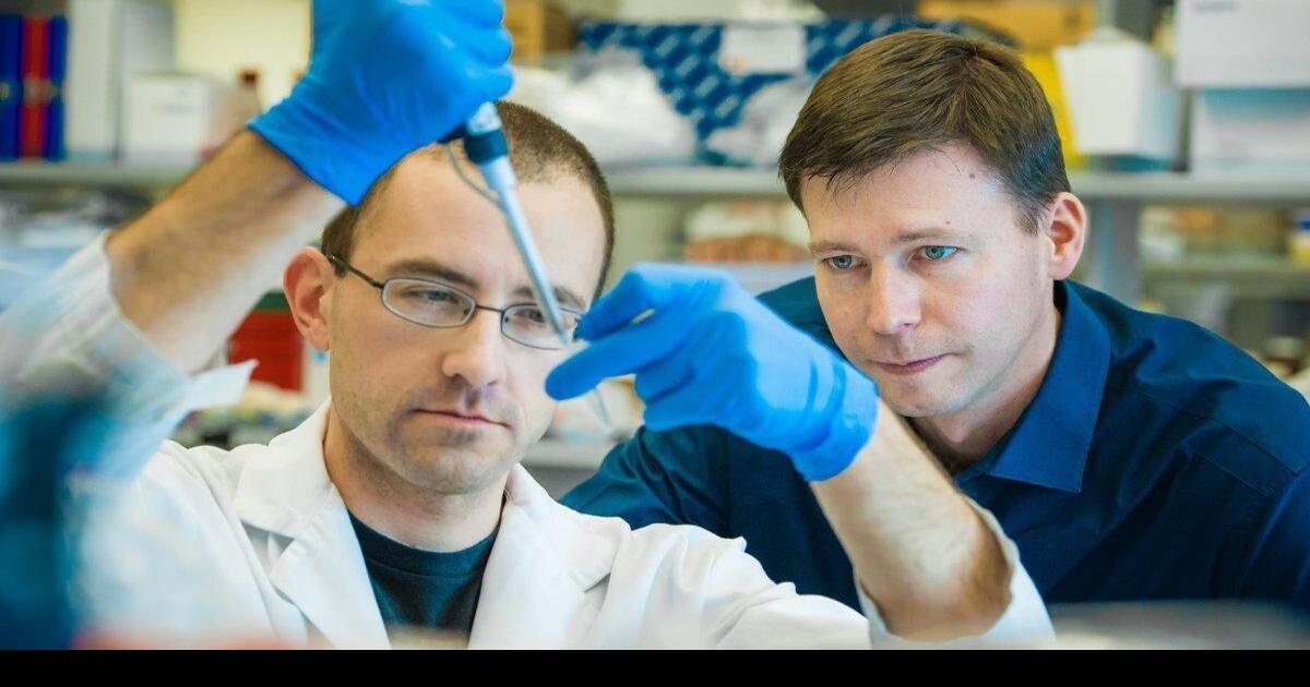 The diabetes cure: A century after Banting and Best’s ‘message of hope ...