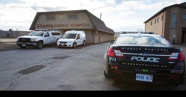 OSPCA executes search warrant at vet?s office