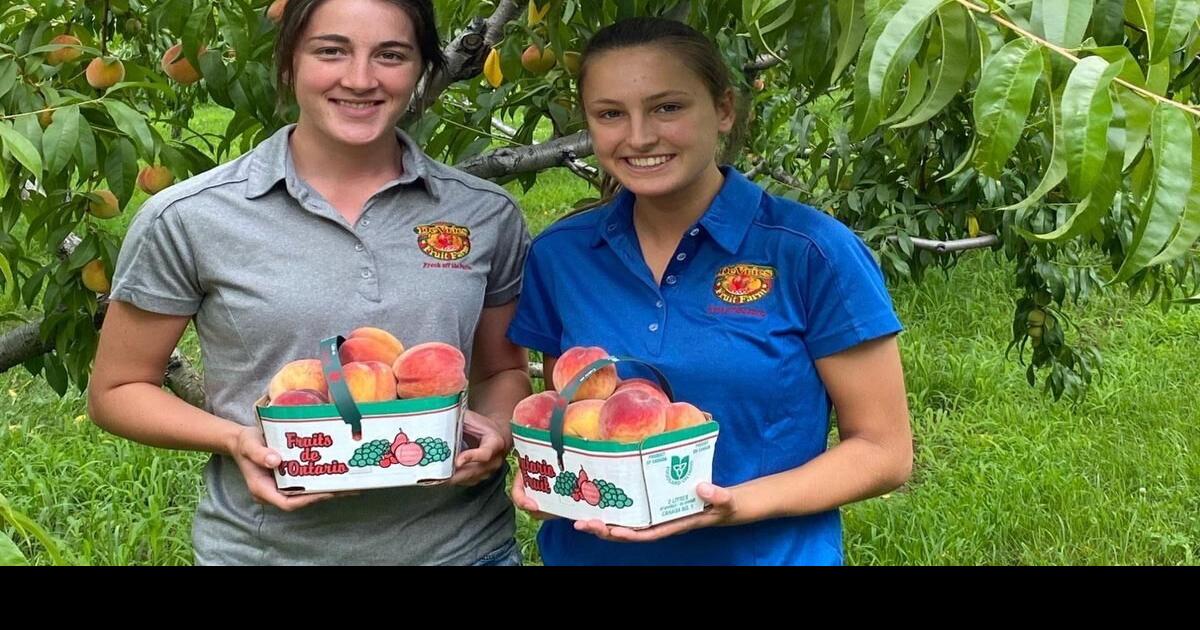 Niagara farmers ‘need a good two-, three-day soaker’ to ensure healthy ...