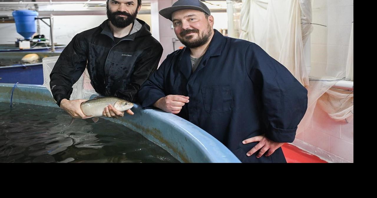Montreal urban fish farmers say their Arctic char cuts greenhouse gases ...