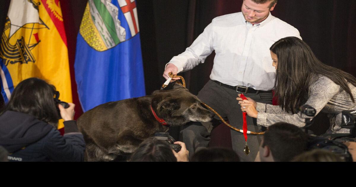 Five brave animals inducted into Purina Animal Hall of Fame