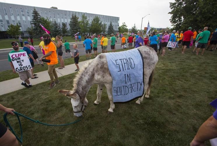 Union, along with a donkey, raises a stink at Niagara Region headquarters