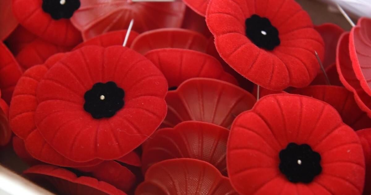 ‘You could never be a veteran because you are a coward,’ legion member ...