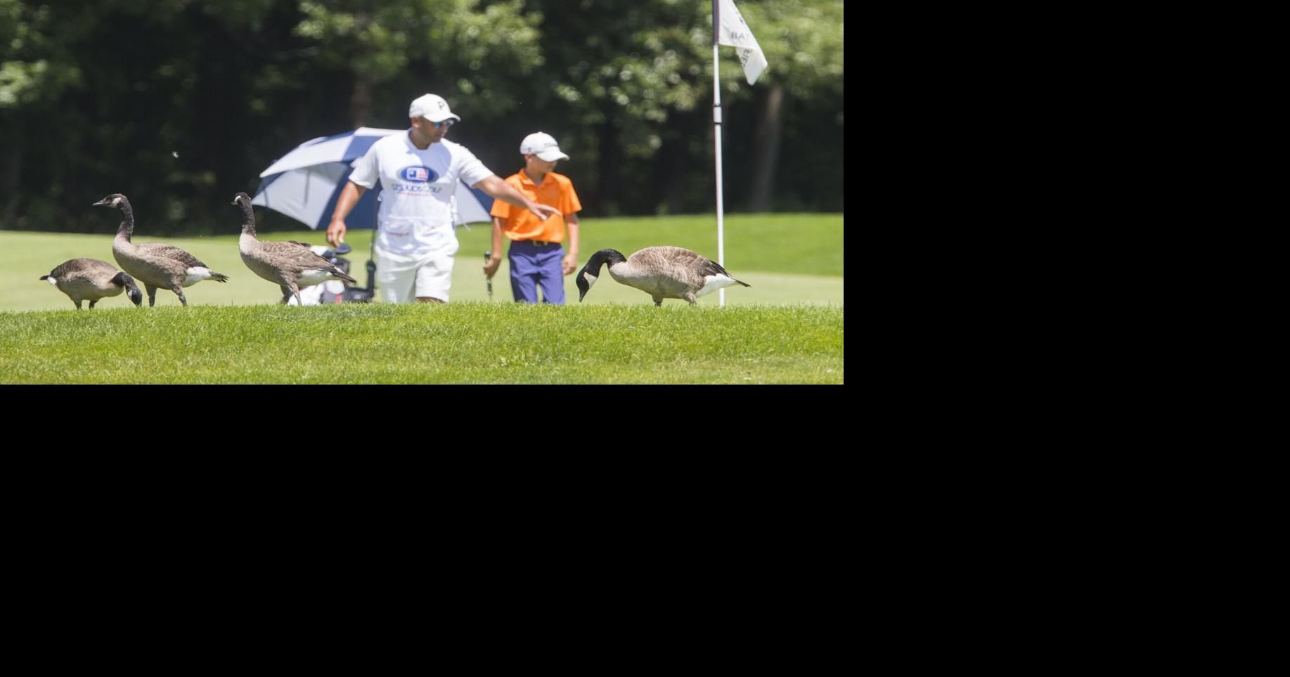 240 golfers compete in 18 and younger tourney in Niagara
