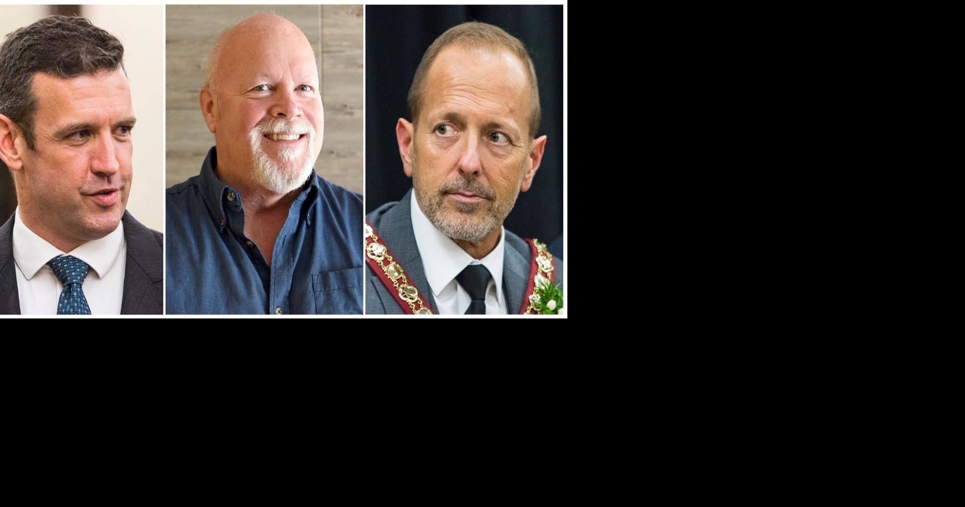 Niagara’s city mayors weigh in on region’s MP, MPP makeup