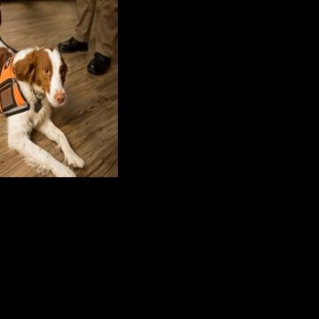 Valhalla Project aims to pull people back from their PTSD