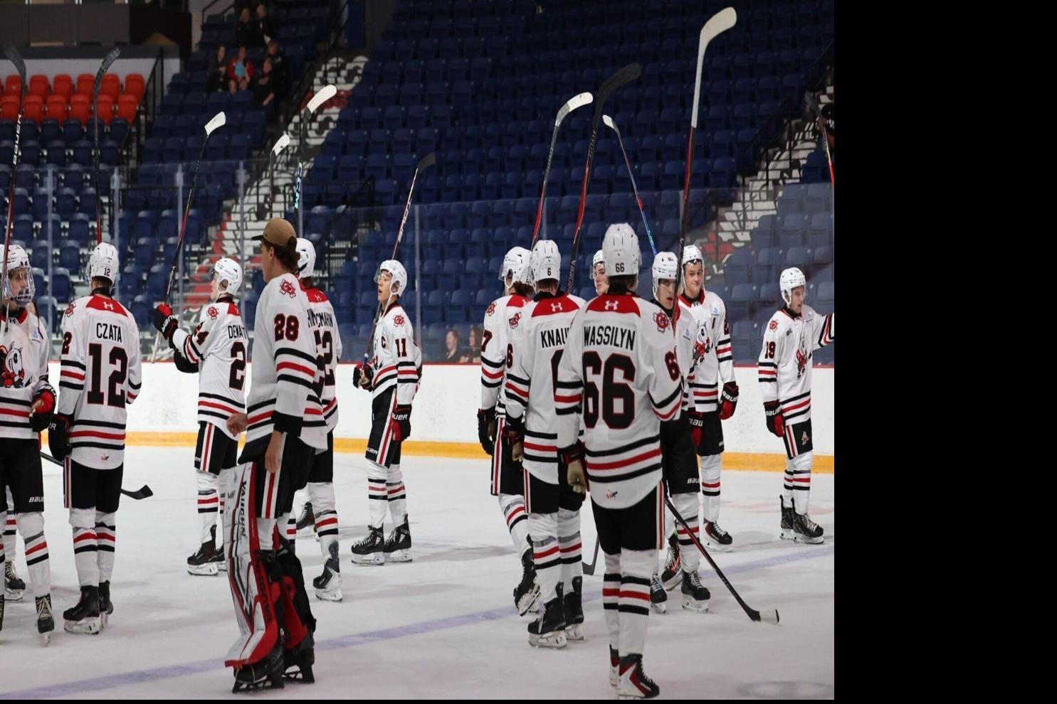Niagara IceDogs News | The Review