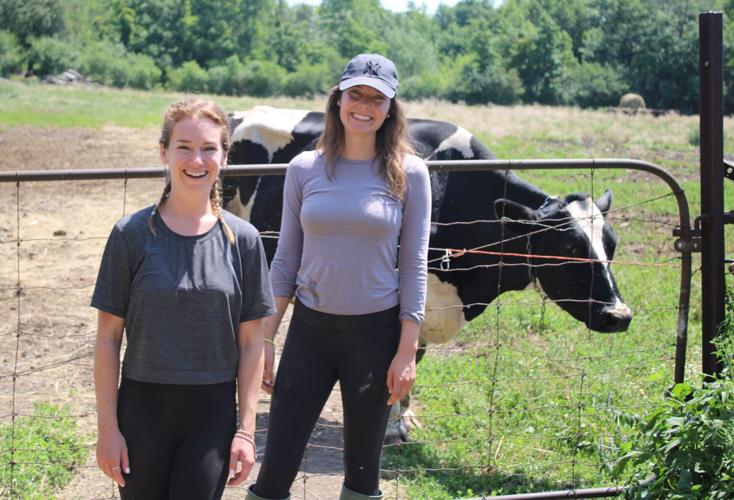 Fort Erie dairy farm provides setting for comedic TV series