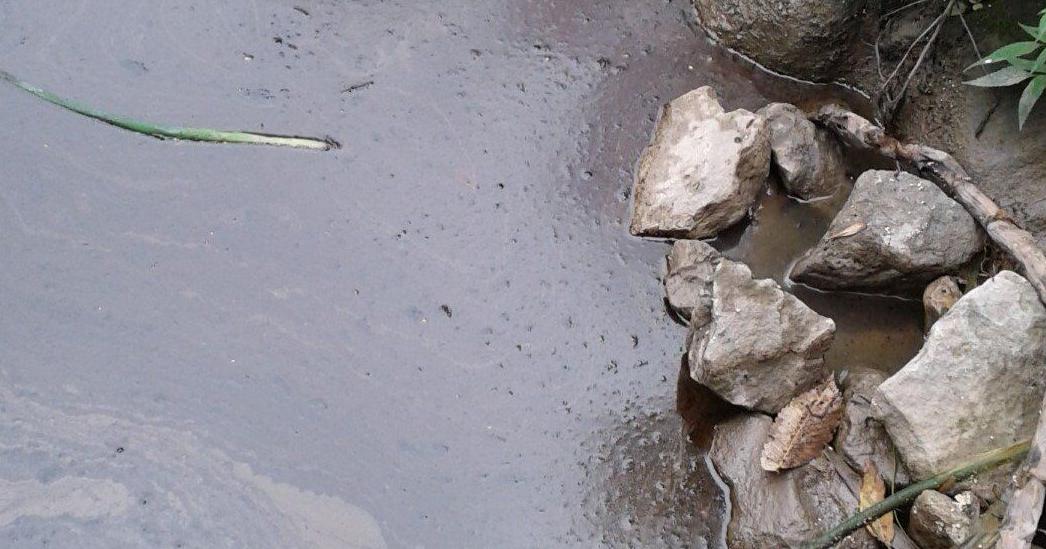 Expedite test results about discharges into river: Gates