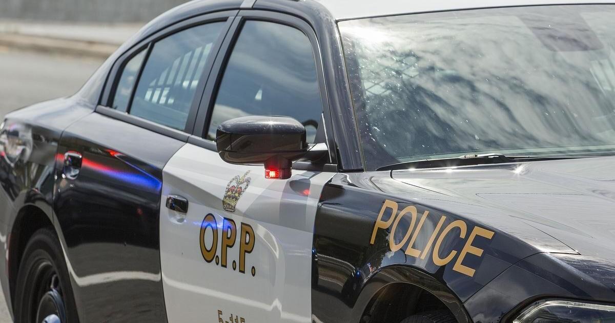 Police raid 3 pot shops in Welland, Thorold and Fort Erie