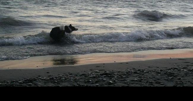 BENNER: Hurry Hard for Marley