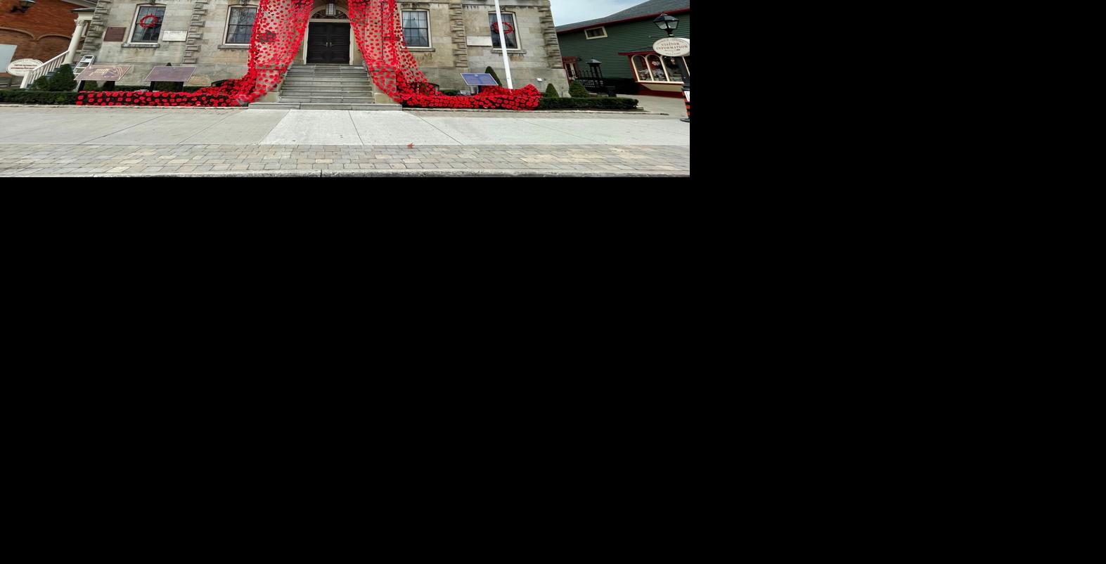 Sea of red wool poppies decorate Niagara-on-the-Lake