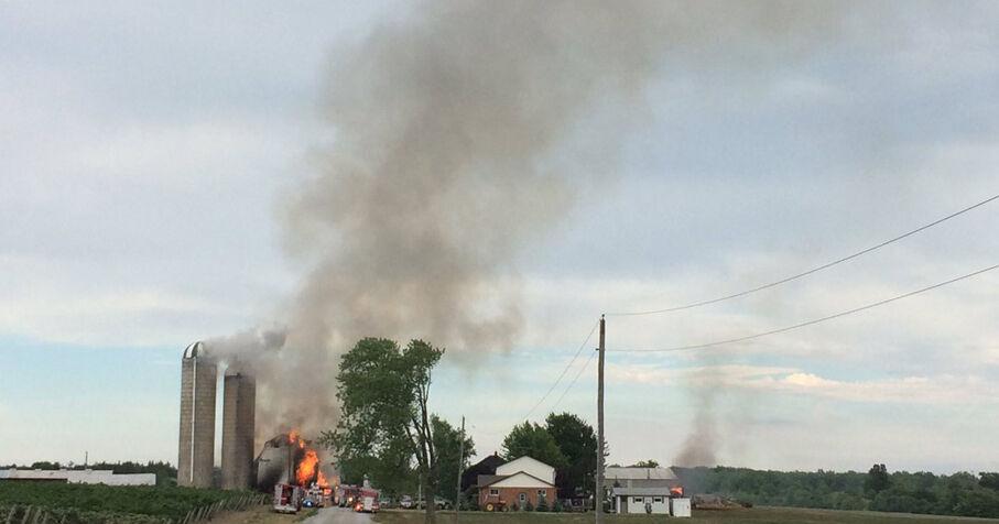Thorold barn fire kills 80 dairy cows