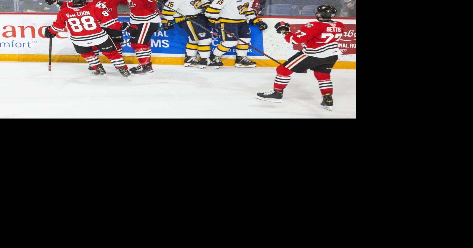 SOLD: Niagara IceDogs owners announce sale of St. Catharines OHL hockey ...