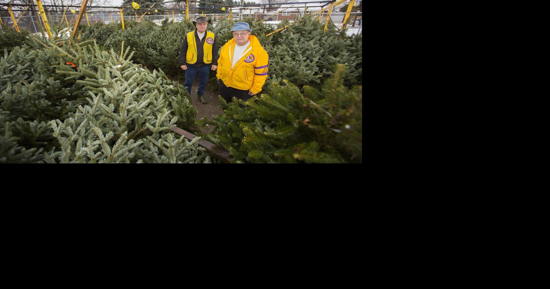 Natural Christmas trees still a tradition for some
