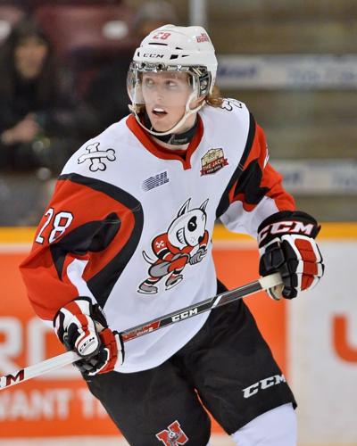 Stars pick shut-down defenceman Haydon