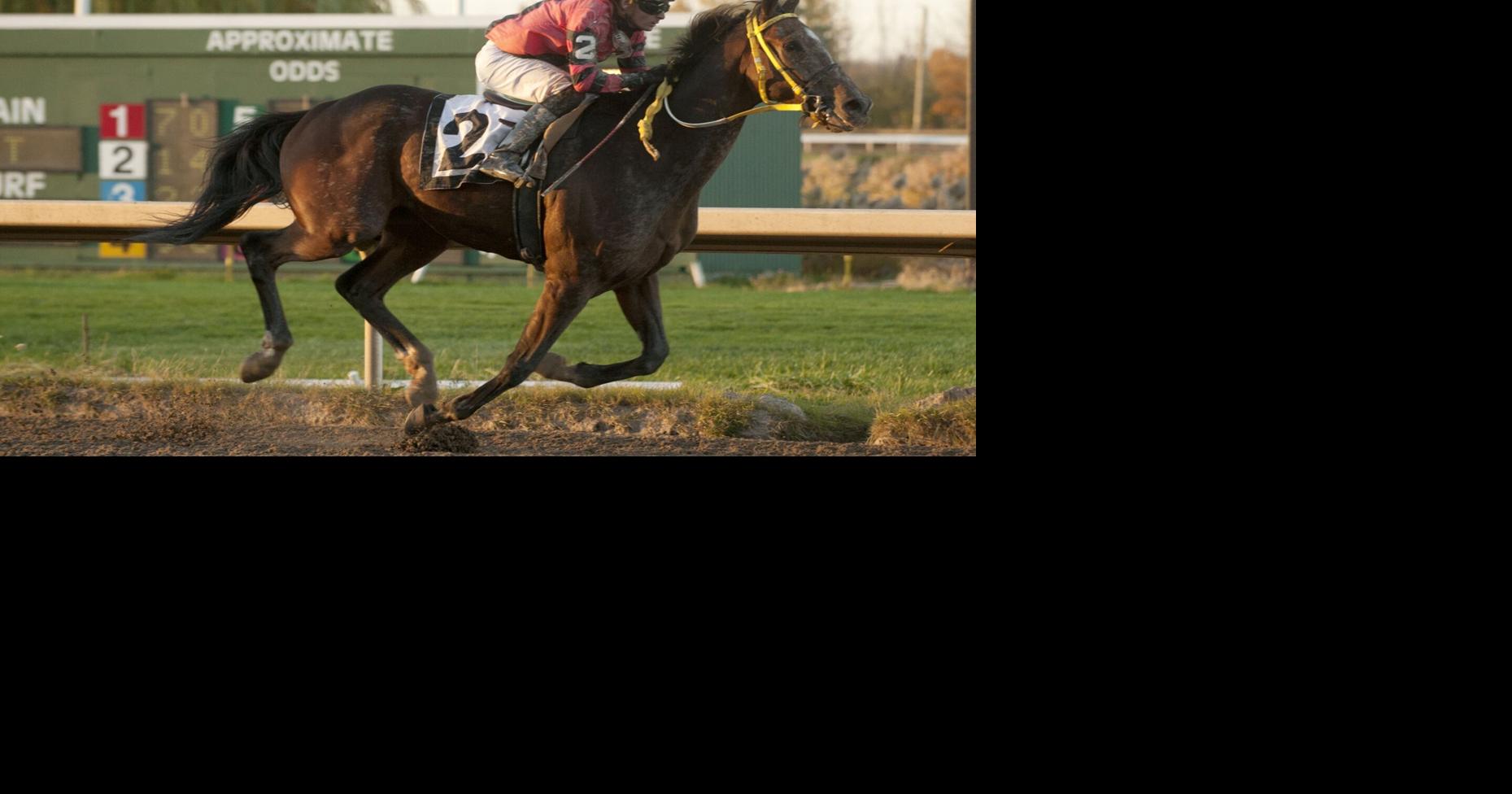 Betting on the ponies — the ultimate charity auction