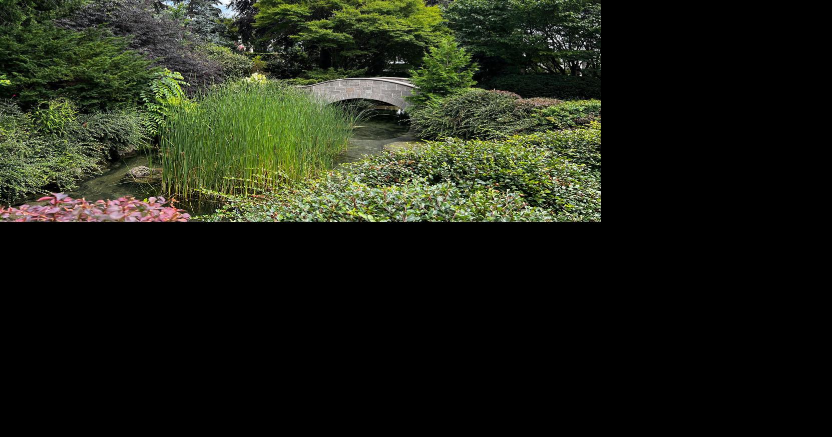 OUR NIAGARA: The Little Rainbow Bridge