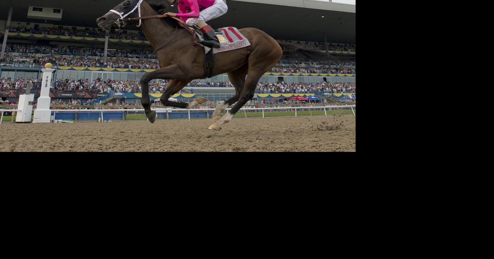 Canadian Triple Crown contender headed to Fort Erie