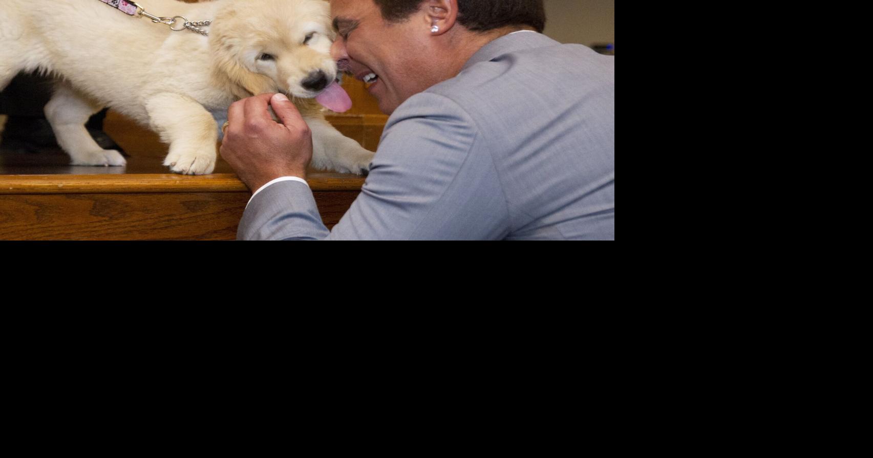 Valhalla Project Niagara offers proactive solution to first-responder PTSD