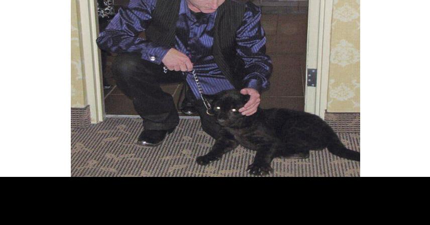 Greg Frewin reaches big milestone