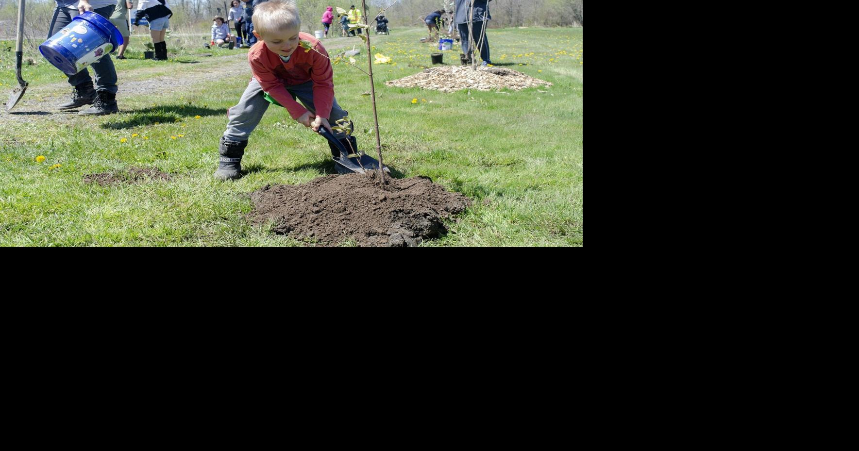 Niagara’s Heartland Forest adds to its tree canopy