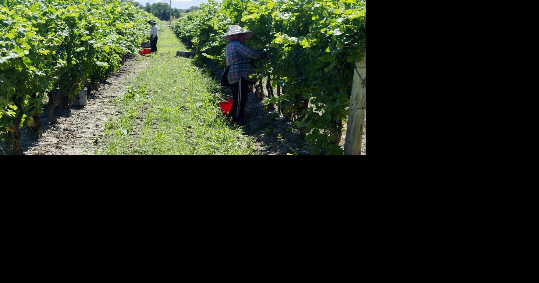 Call for permanent resident status for undocumented people