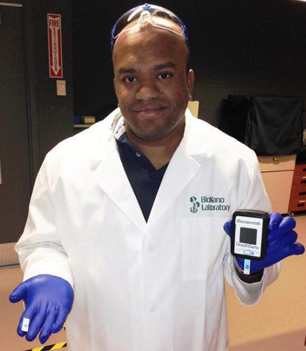 New nano sensor detects dairy cattle diseases quickly, easily