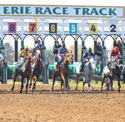 Attendance up at Fort Erie Race Track