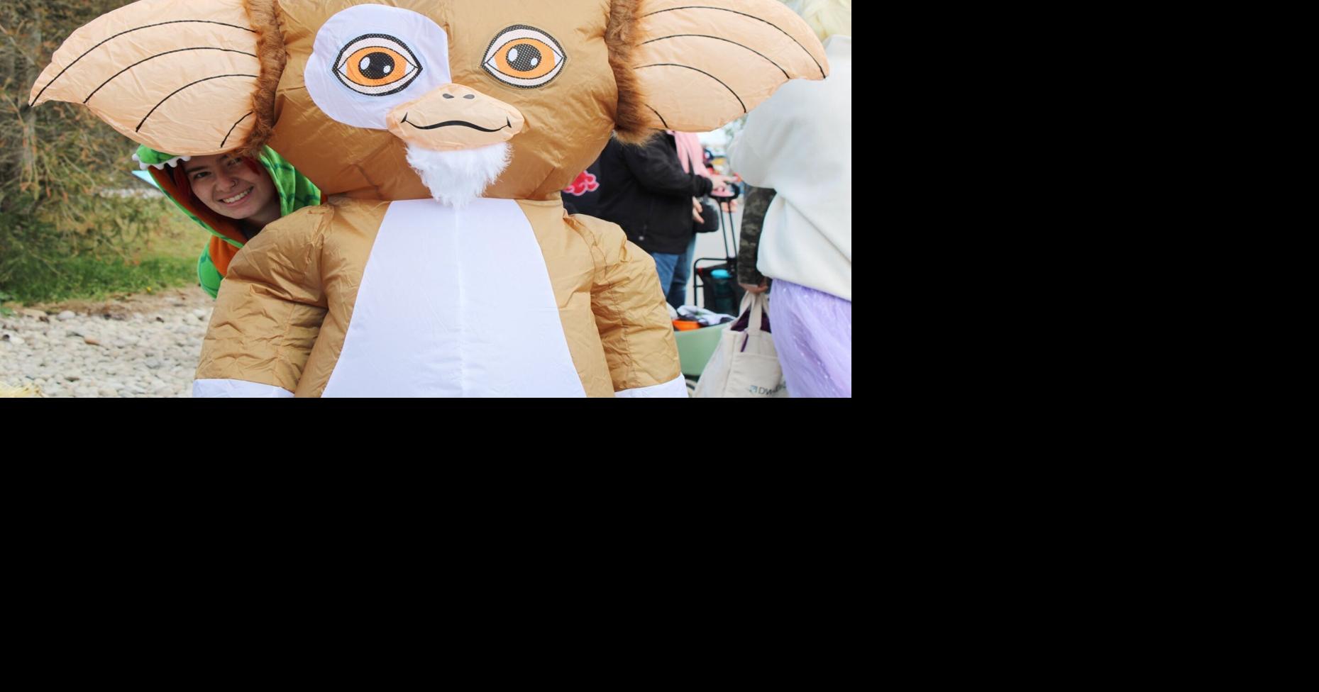 Boo at the Zoo returns to Safari Niagara