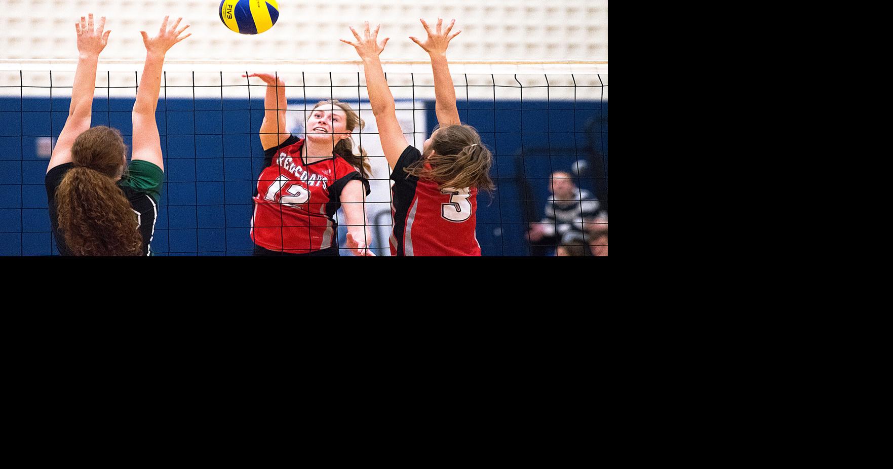 Niagara Volleyball Showcase: 'The talent level that exists across ...