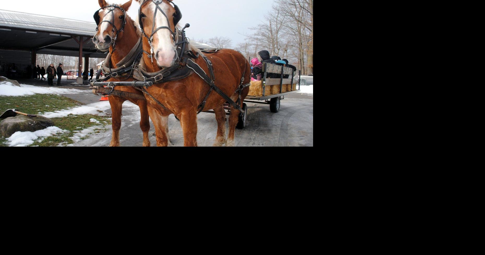 A taste of Quebec is returning to Welland