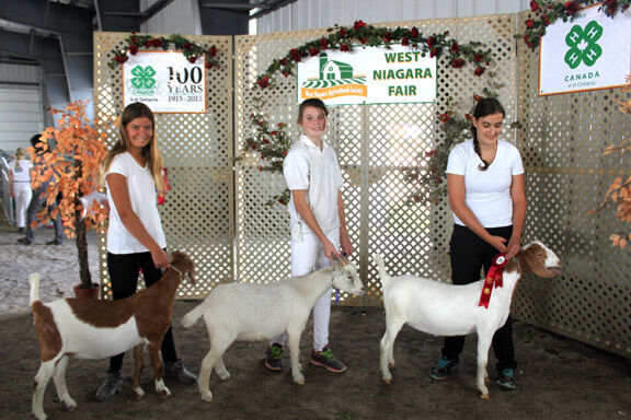 Explaining 4-H, right from the horse’s…goat’s mouth