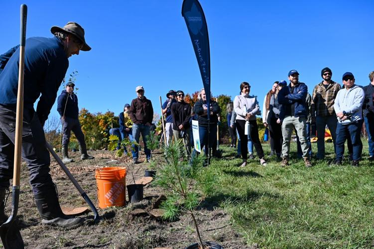 NPCA, Region plant 1,000 trees by Decew water plant