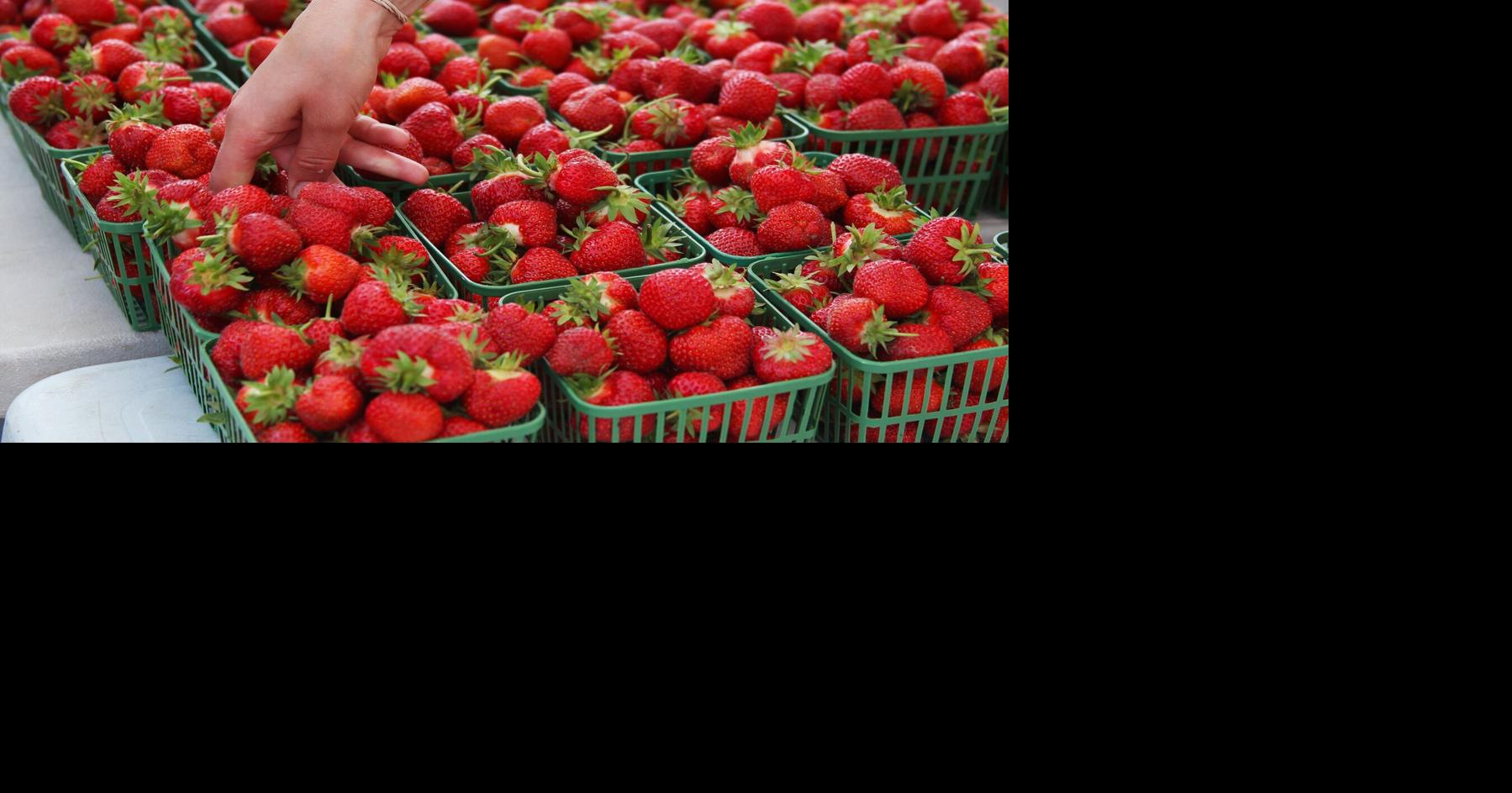 DeVries Fruit Farm leaves St. Catharines Farmers Market