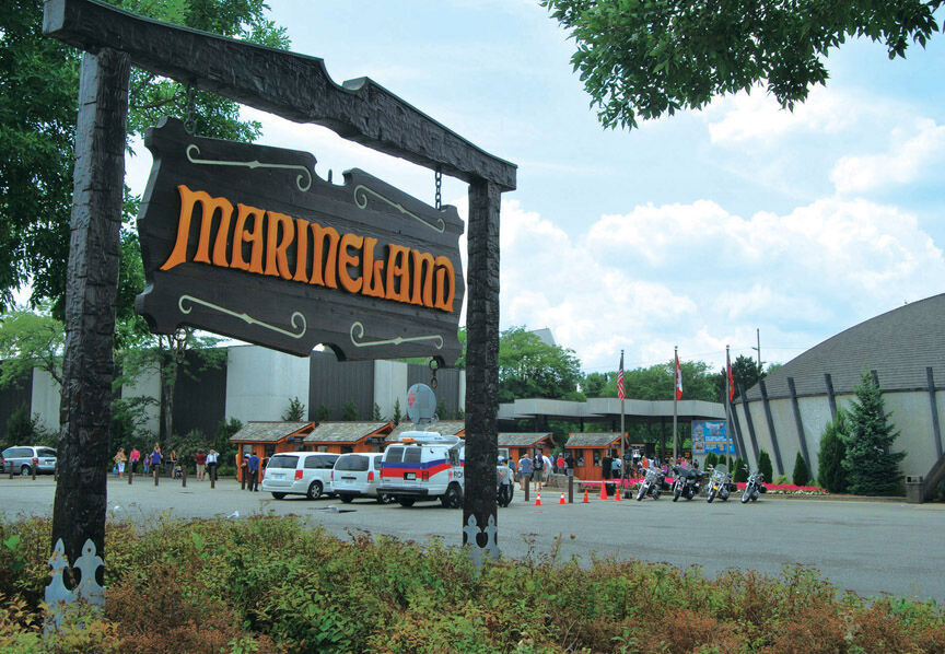 Surprise OSPCA inspection turns up ‘no signs of abuse, distress ...