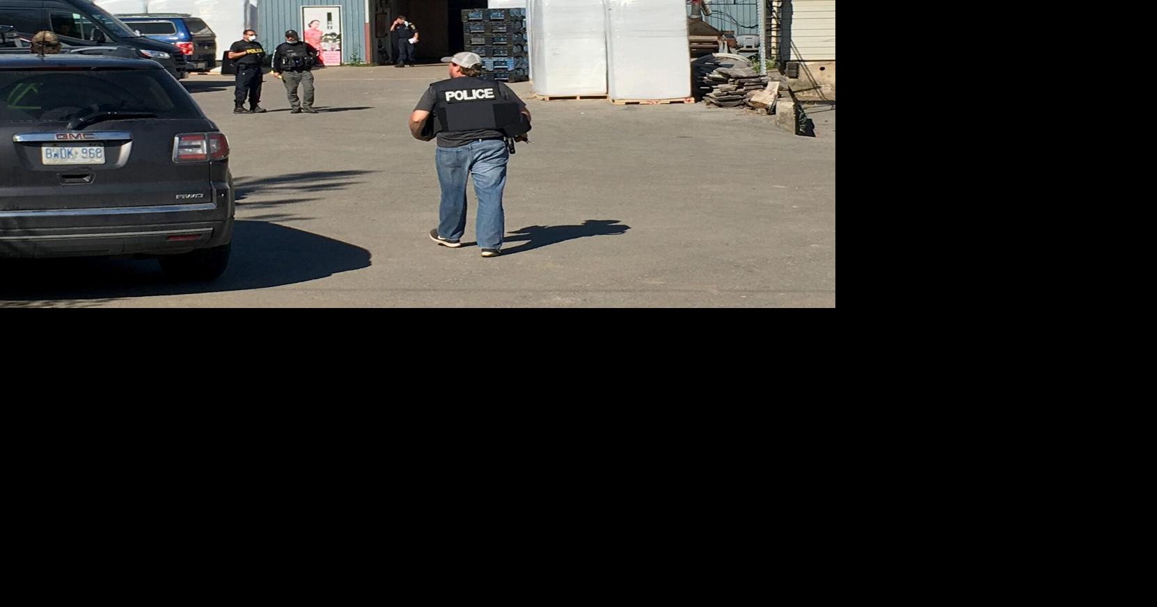 OPP investigating possible marijuana grow op